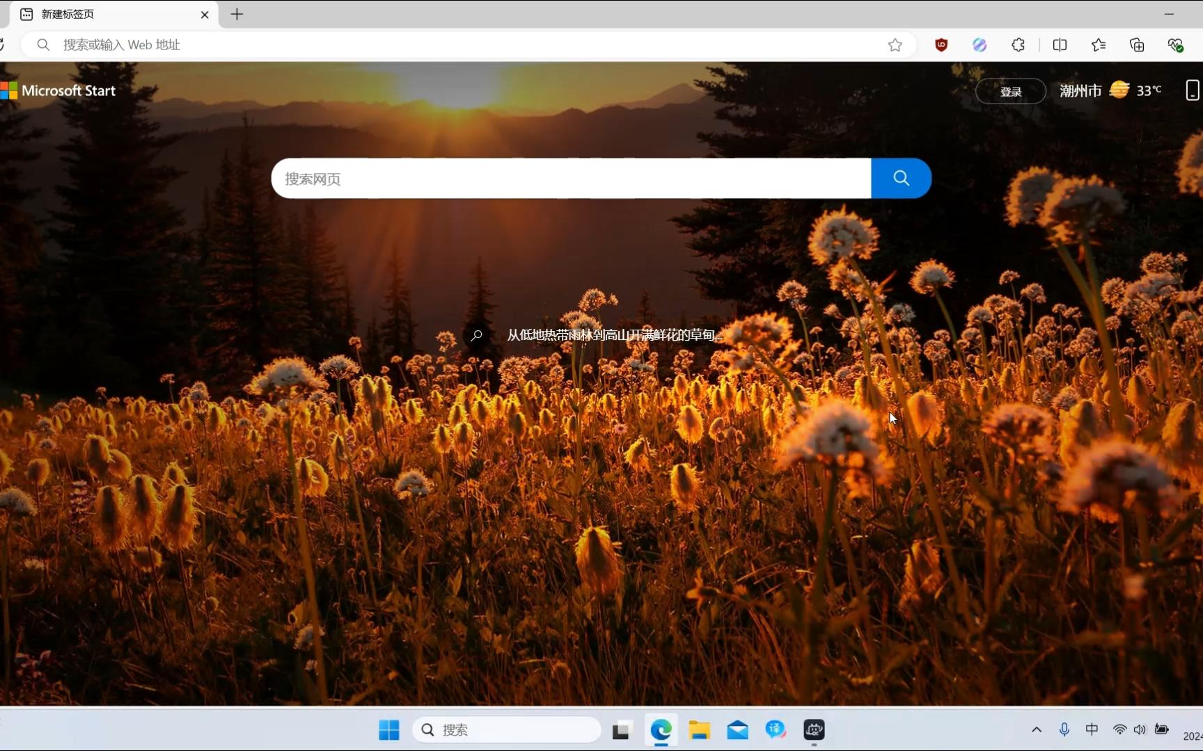 如何关掉edge浏览器的资讯和网站导航