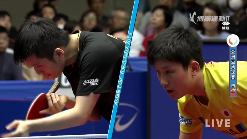 樊振东 vs 张本智和 2019年乒乓球比赛