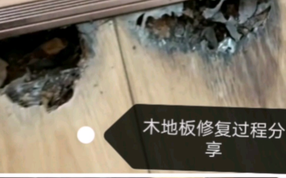 上海专业修复实木地板木制家具木楼梯等等,上门服务 ,品质保证