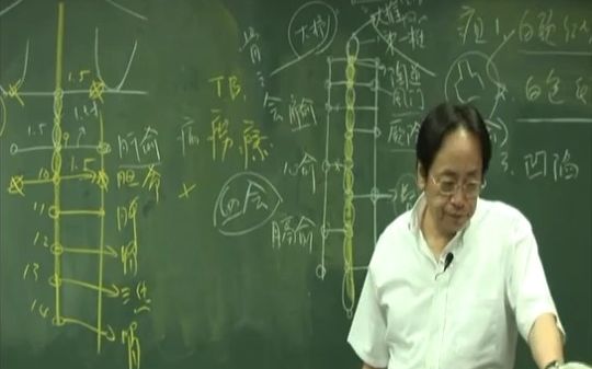 膀胱经20脾俞21胃俞