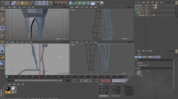 C4D大鼻子狗角色建模技法05
