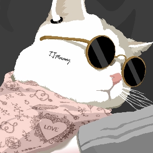 丁丁Mercury 
