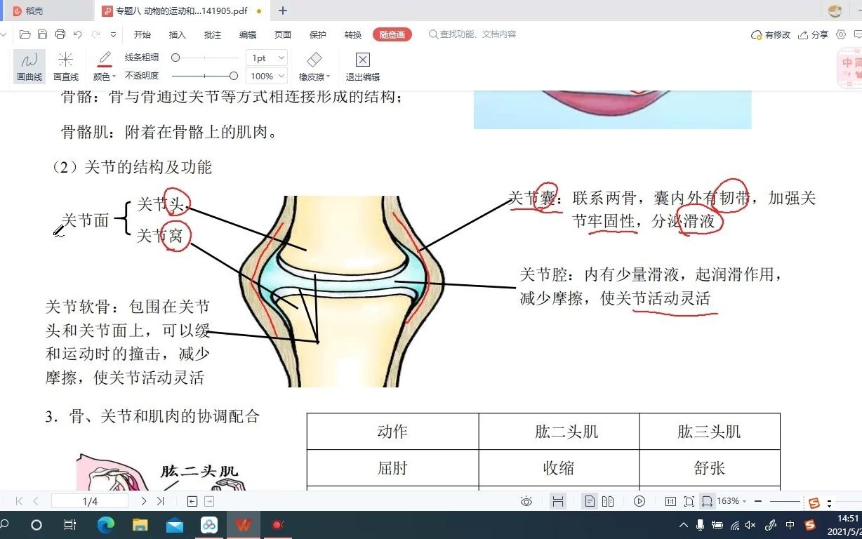 八年级上册 第五单元 第2章 动物的运动和行为