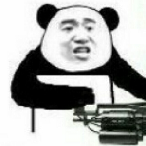 和龙1111 