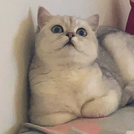 一箬一 