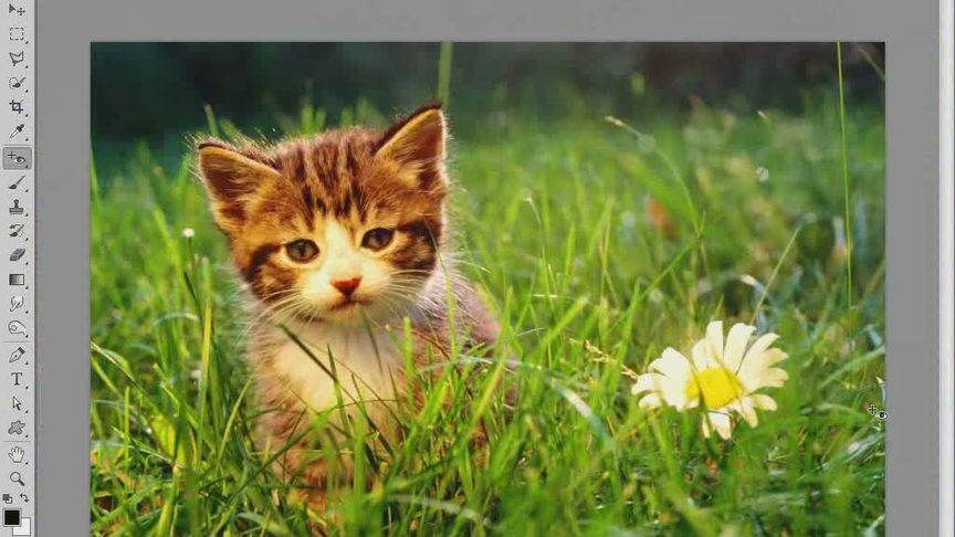 一分钟学PS:教程练习实例——使用仿制图章修补草地