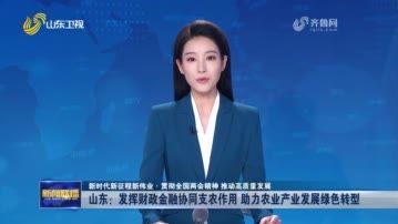 新时代新征程新伟业·贯彻全国两会精神 推动高质量发展丨山东:发挥...