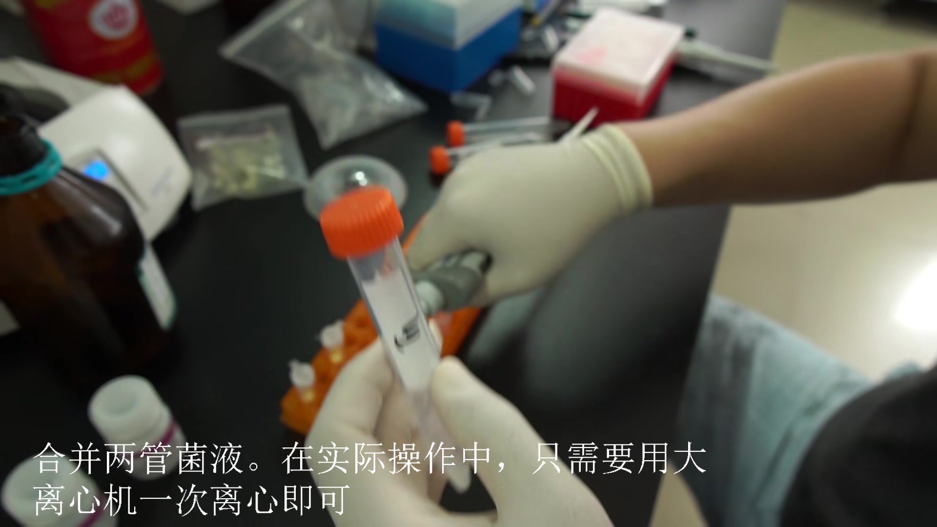 提取质粒_字幕