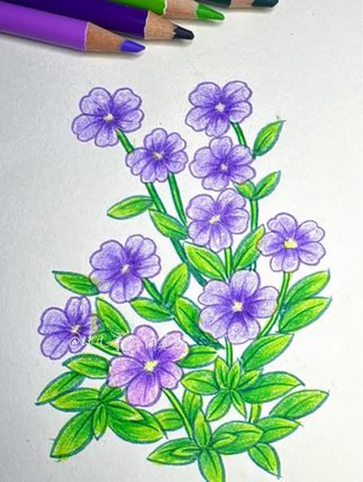 今天画一簇紫色的小花花,一看就会的那种 #简易花草画法 #零基础学...