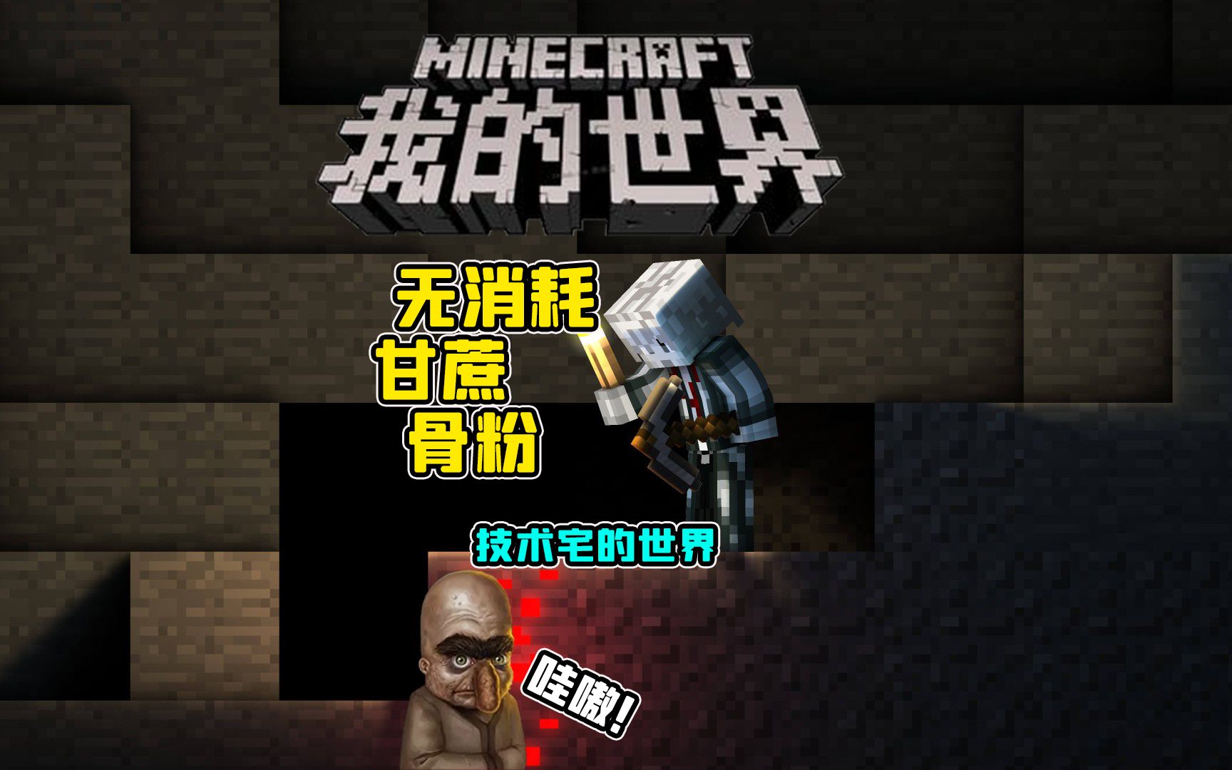 新手无消耗自动甘蔗骨粉机 我的世界