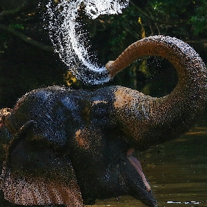 多元环境研究所 