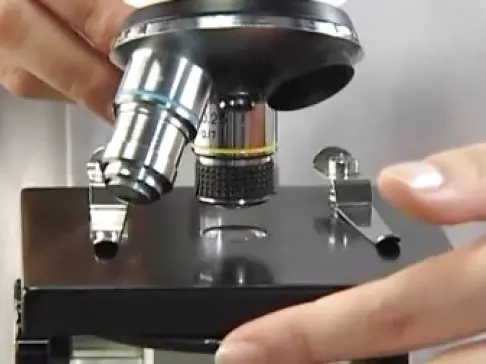人教版生物-探究实验视频-必修-使用高倍显微镜观察几种细胞