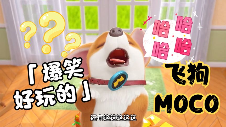 趣看动画 飞狗MOCO的日常生活 我果然是充话费送的
