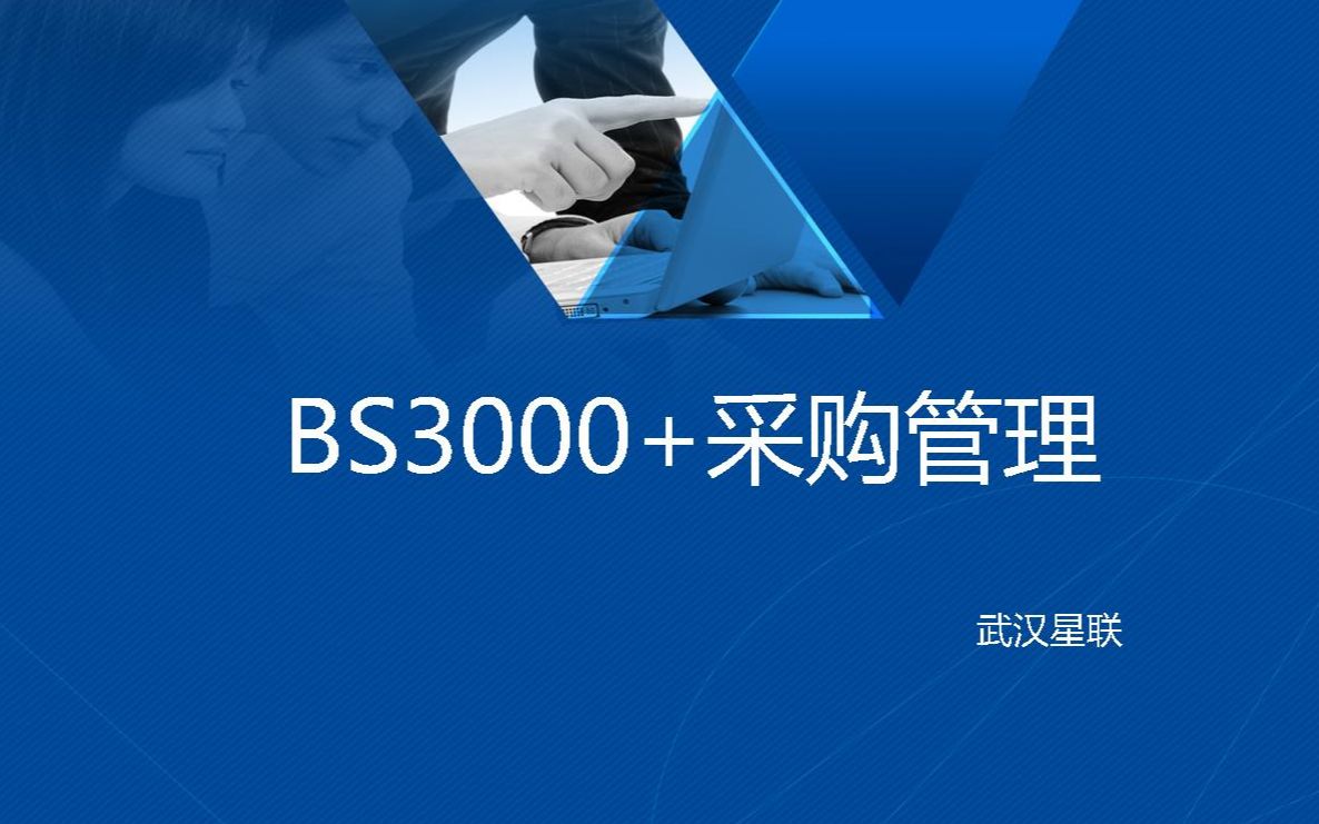 BS3000+采购进货管理