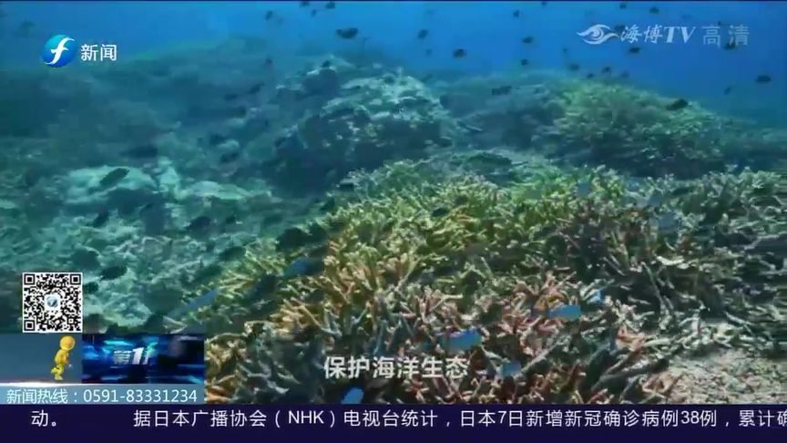 红树林对海洋生态有什么作用？一个短视频让你了解！