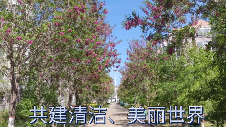 2022年世界环境日,共建清洁、美丽世界