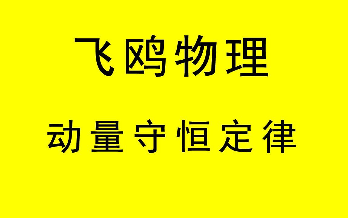 飞鸥 高中物理选择性必修一教学视频 高一力学 动量守恒定律