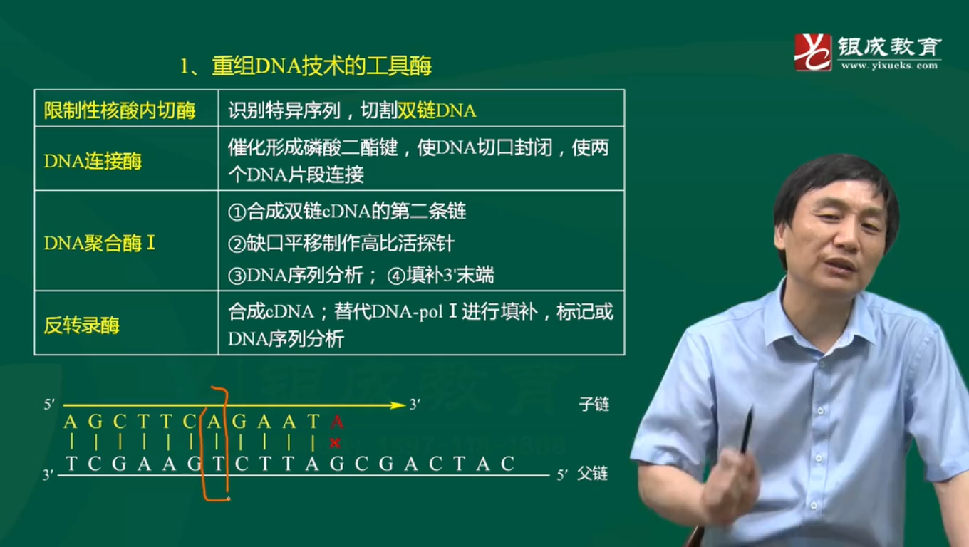 课件39 生化09章-05重组DNA技术(15分钟)