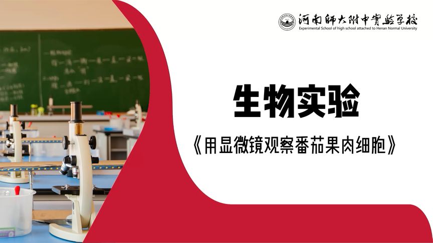 河南中考实验 生物 1 《用显微镜观察番茄果肉细胞》