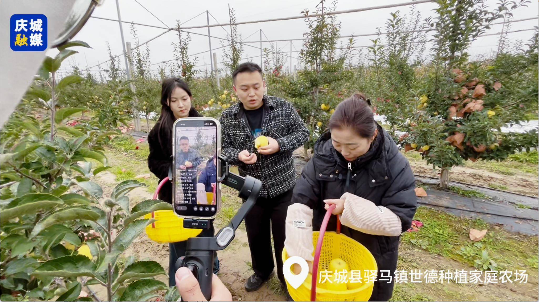 庆城县在驿马镇开展东西部协作电商直播带货助农活动