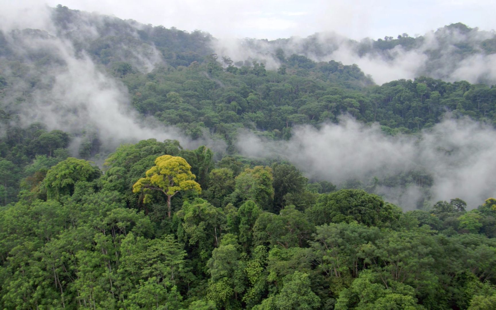 Spirit Within-以笛子与鼓的语言讲述自然的魅力(戴耳机享用效果更佳)