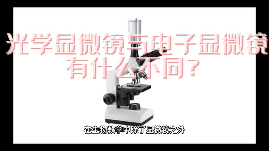 光学显微镜与电子显微镜有什么不同?