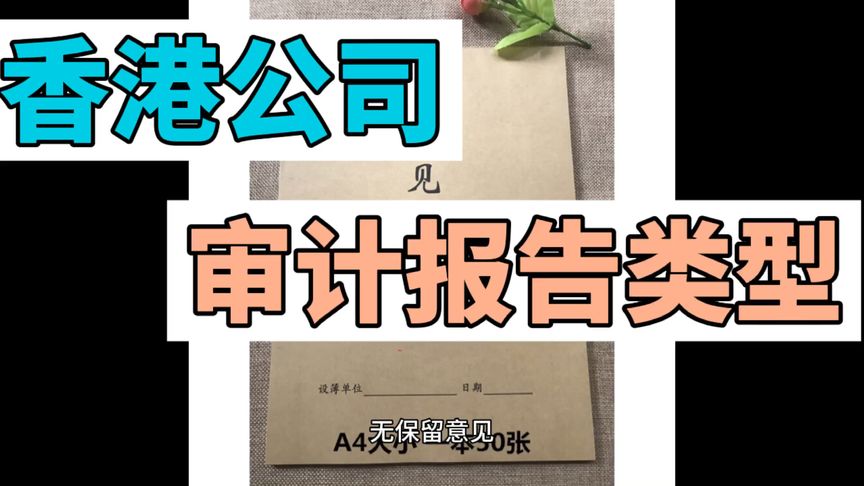 香港公司审计报告类型