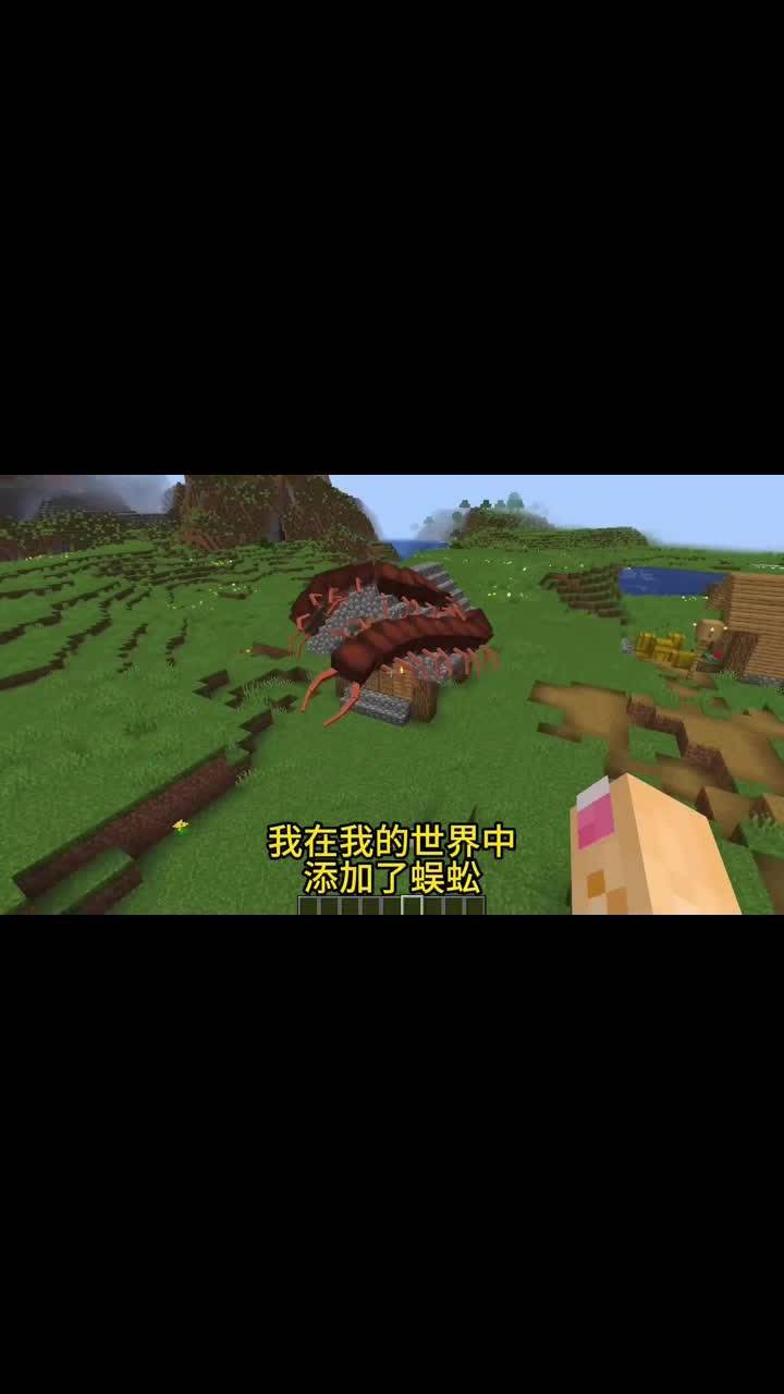 我在我的世界中添加了蜈蚣