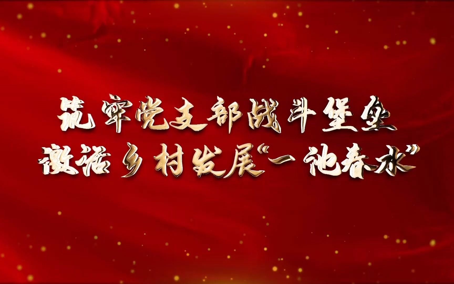 《筑牢党支部战斗堡垒 激活乡村发展“一池春水”》