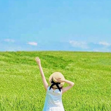 玫瑰徒步而来__M 