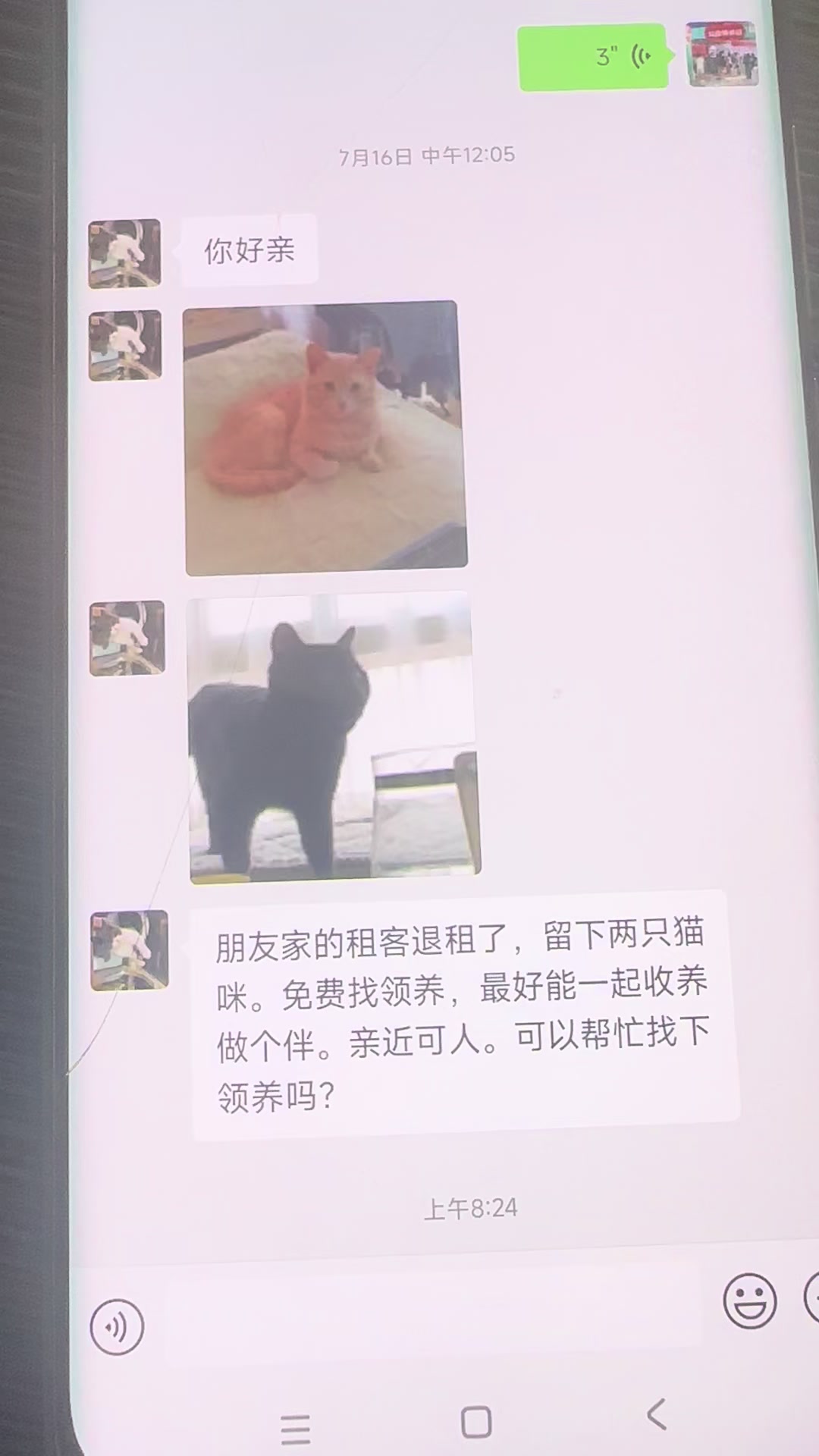 谈谈遗弃 今天收到后台送养短信:朋友家的租客退租了,留下两只妈咪,...