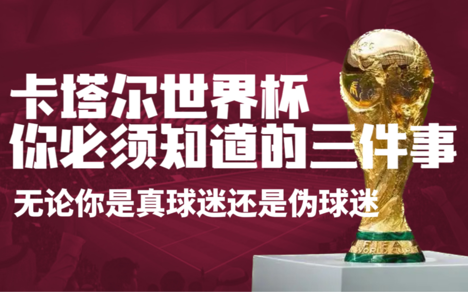 知识点|卡塔尔世界杯你必须知道的三件事,无论你是否是球迷。