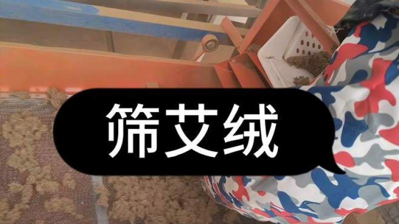 又来筛艾绒啦……