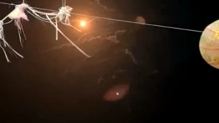 前年压仓的牛石三寸烟花 老款牛石效果依旧ok