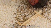 科普:胚芽米和精米有什么区别?哪个更营养?