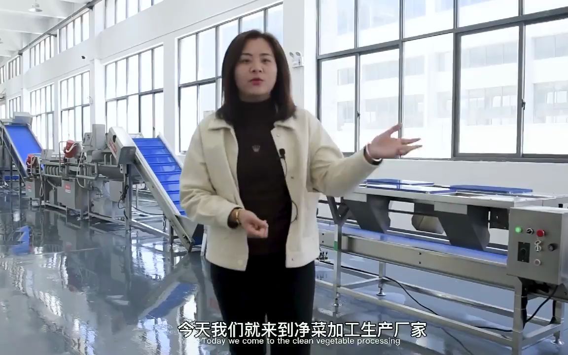 预制菜中央厨房净菜加工流水线,一整套自动化蔬菜清洗切割脱水生产线