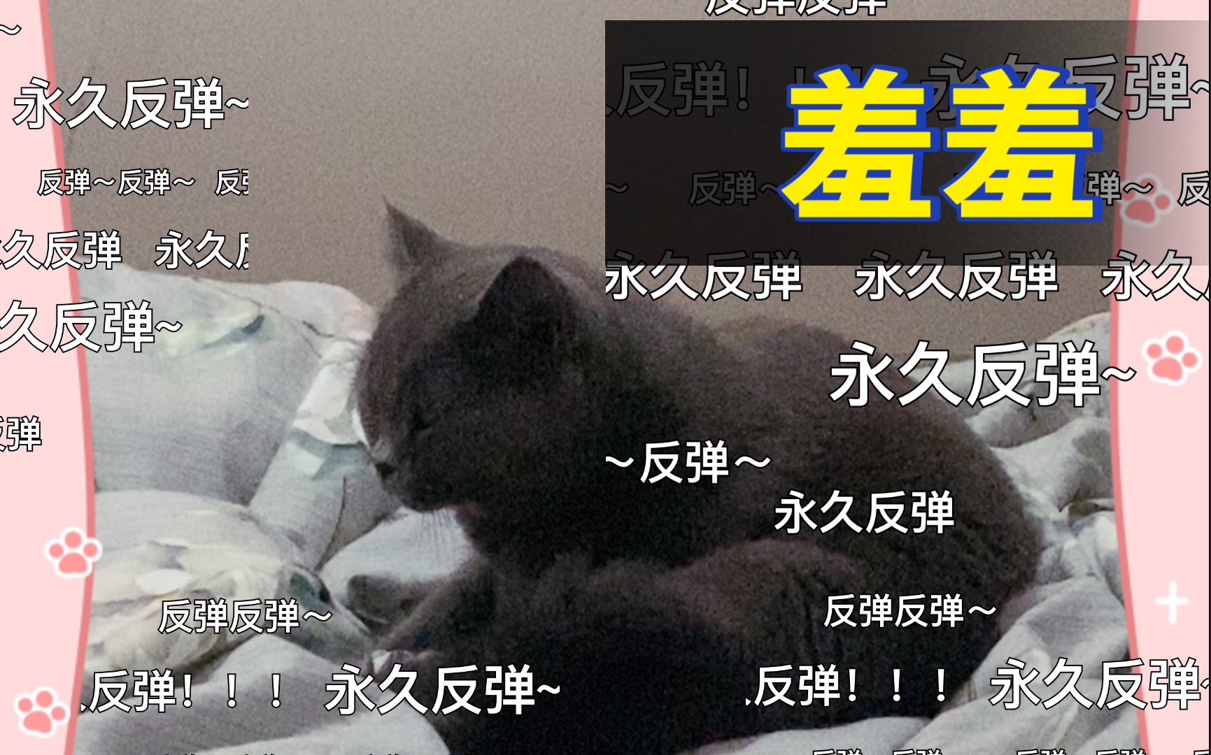 怎么能做如此羞羞!的事情