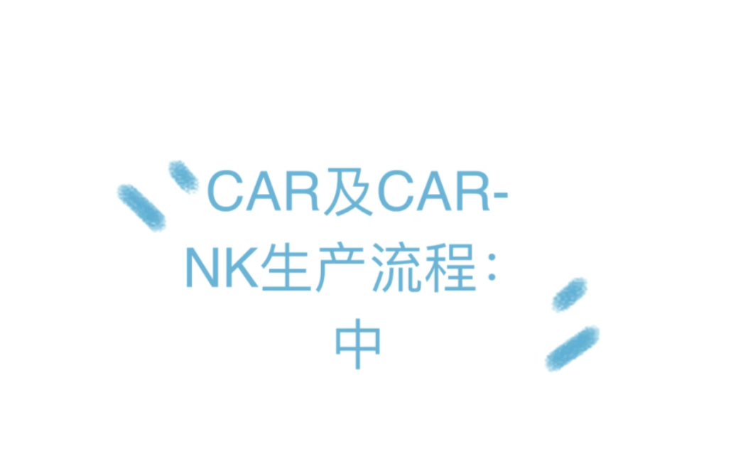 【每天学点细胞治疗16】cart及car-nk生产流程———中