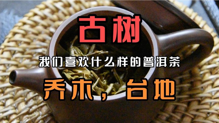 今天分享普洱茶里面古茶树乔木茶树和台地茶树的区别?你掌握了吗