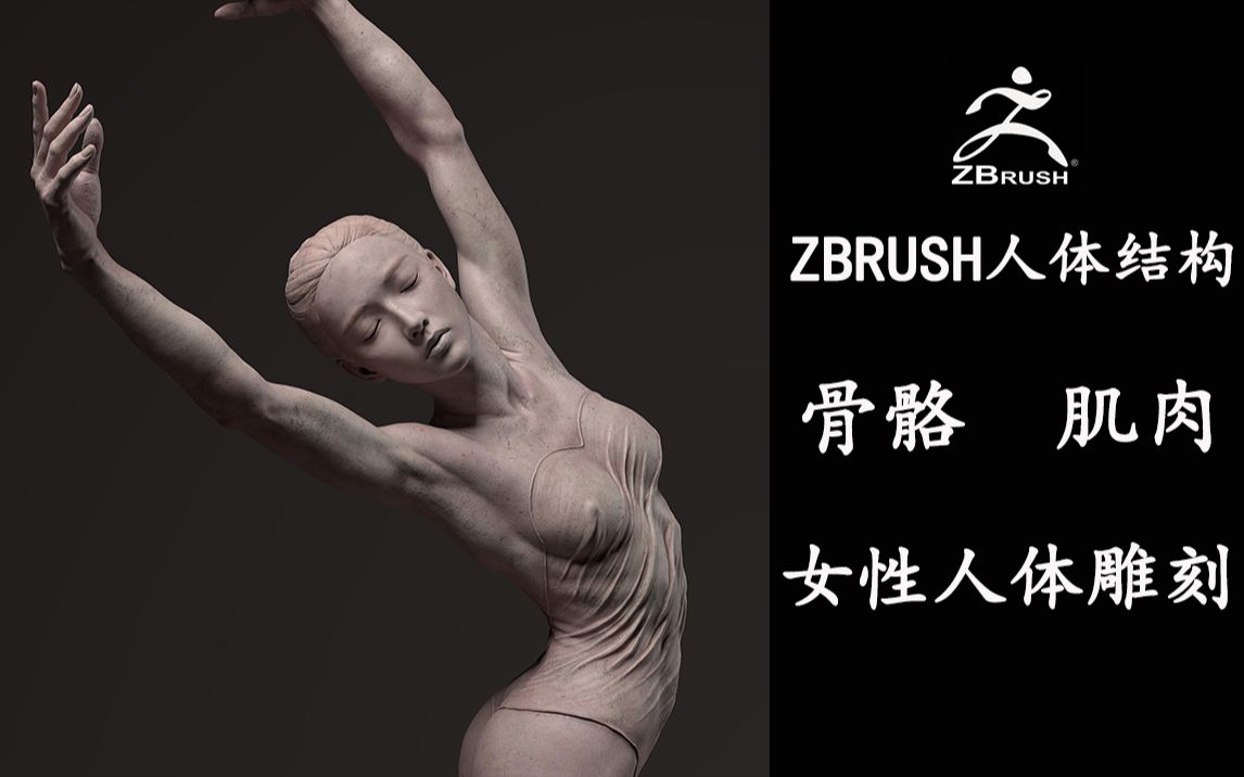 【Zbrush角色雕刻】ZB零基础必学教程,女性人体骨骼、肌肉雕刻练习...