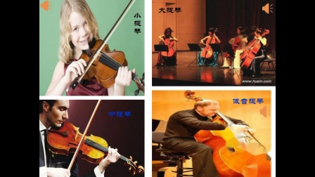 乐陶微学堂 —— 六年级音乐 西洋管弦乐器介绍(一)
