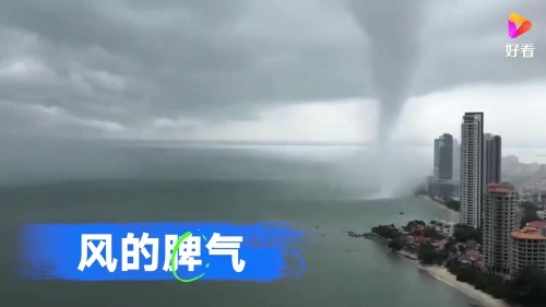 8个被拍到的小概率事件,海中遭遇凶猛鲨鱼,却逢鲸尸相救?