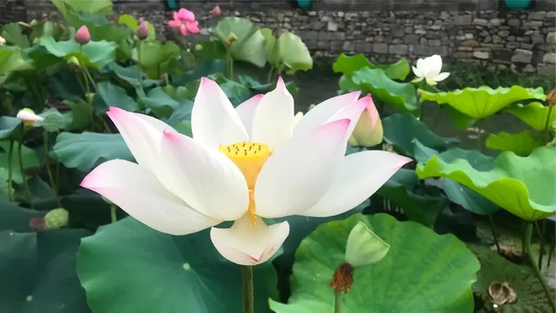 3月份全社会用电量8282亿千瓦时 同比增长4.8