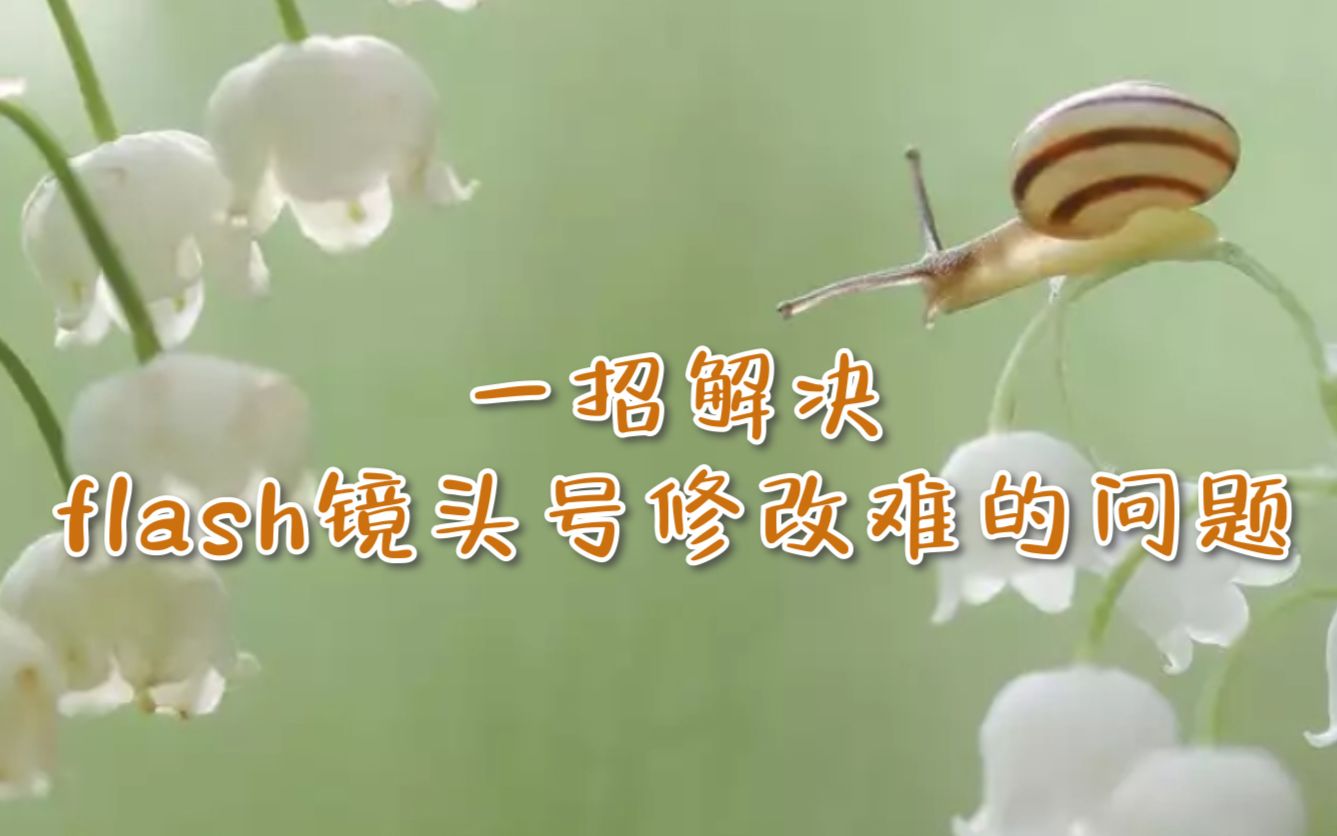 【小妙招】解决flash镜头号修改难得问题