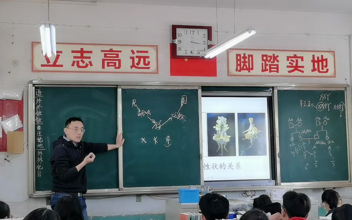 4.2基因的表达和性状的关系_batch