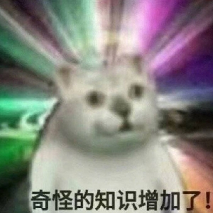 油头部司机 