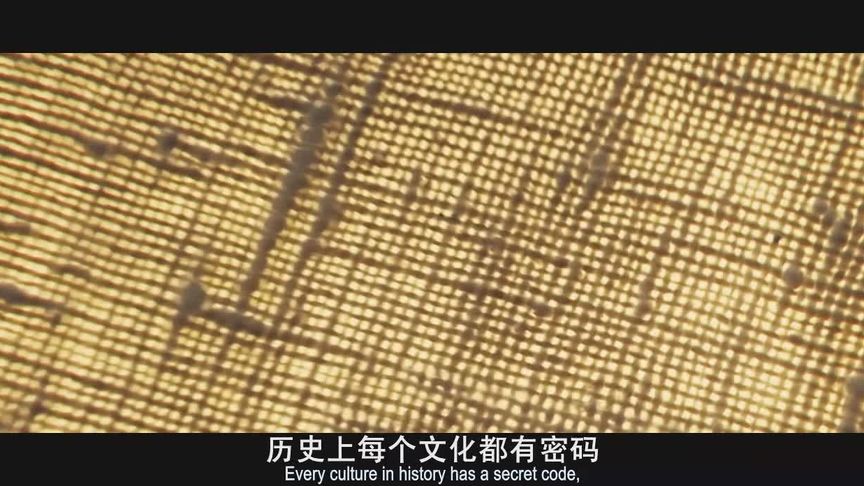 反正我从布里面看不出什么信息,还说布里有数字,真是牛了