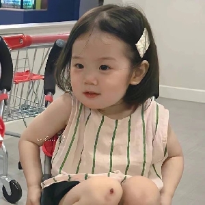 一块计算机小饼干 