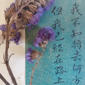 字里字外 