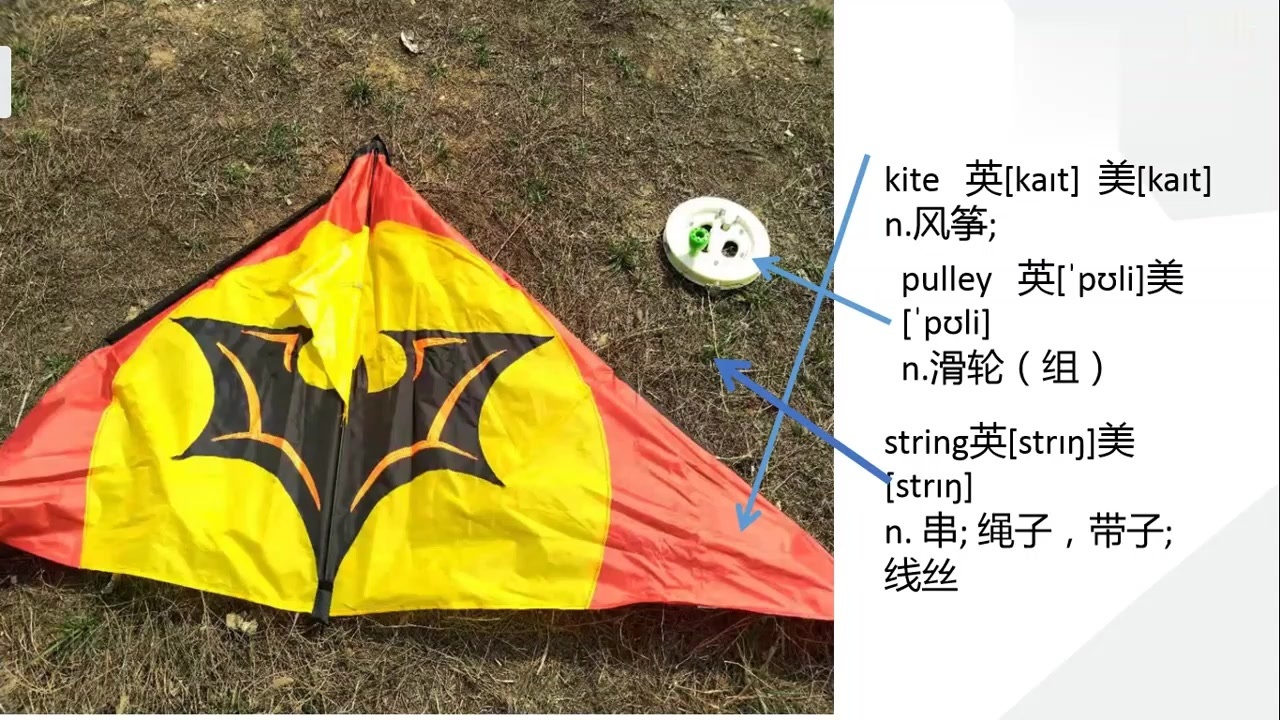 whom did you fly kites with是什么意思